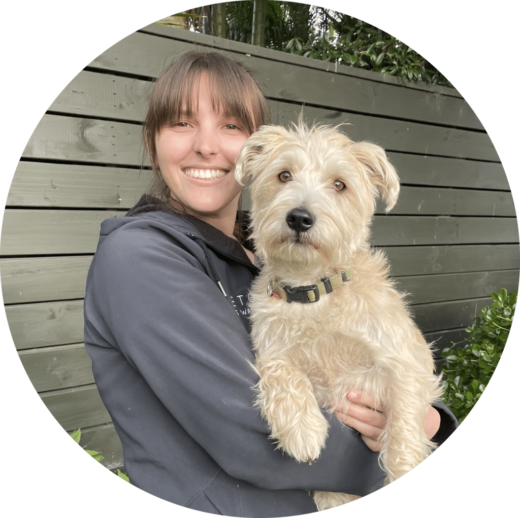 Great Auckland Dog Walkers Caring Experienced Fetch Dog Walking great-auckland-dog-walkers-caring-experienced-fetch-dog-walking